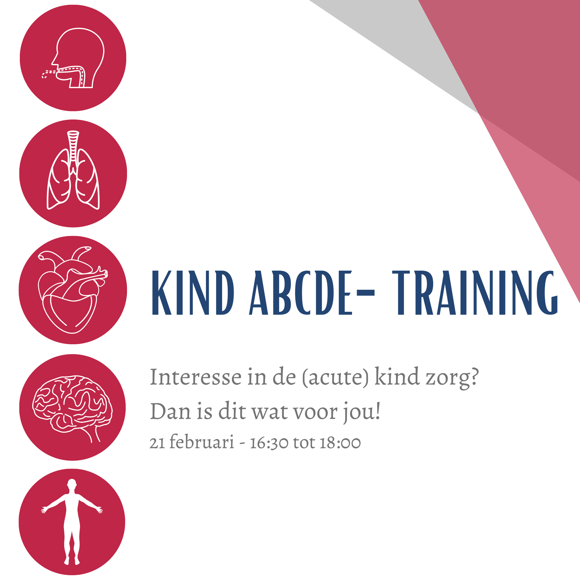 Plexus - Evenementen